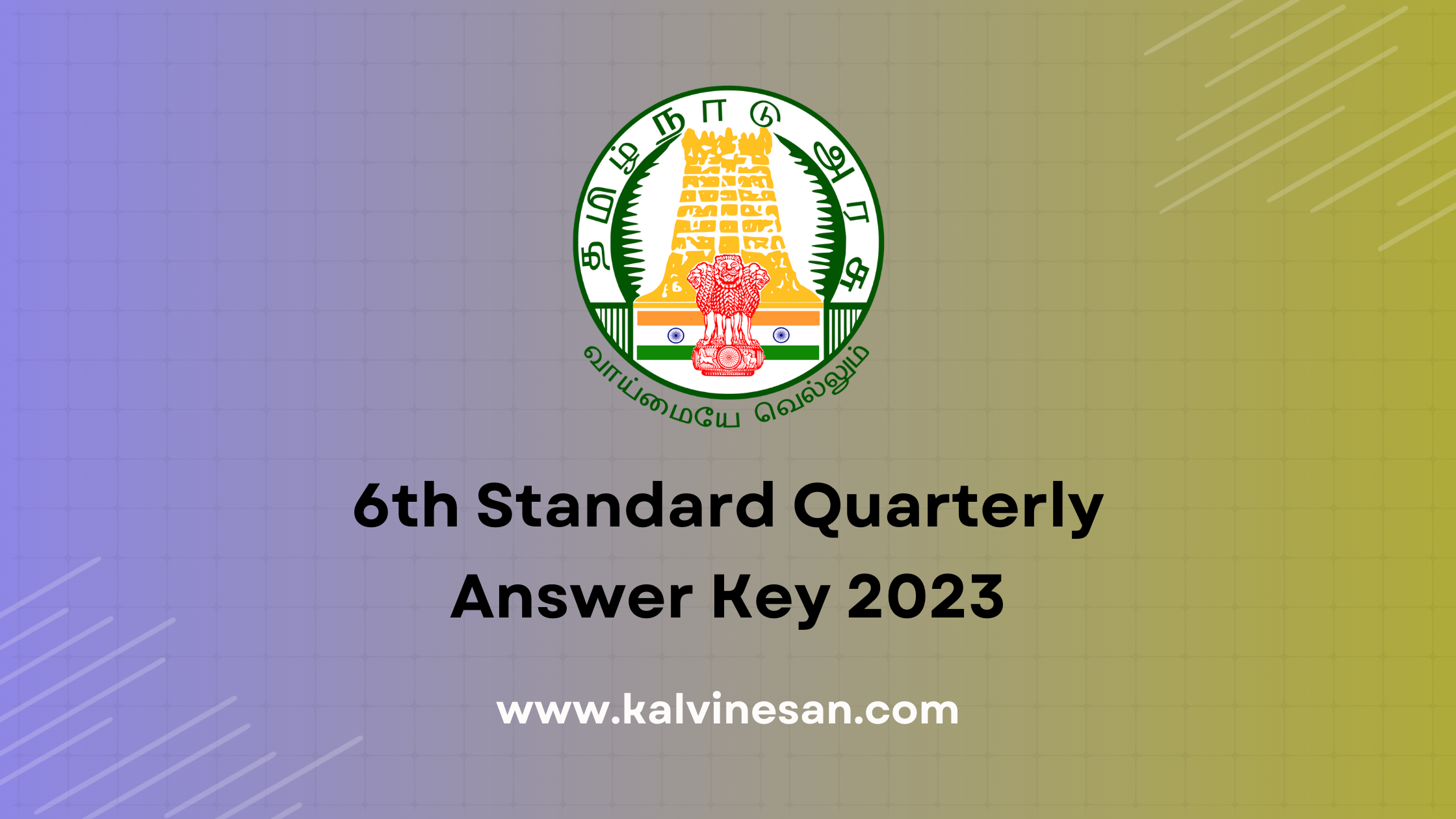 6th Quarterly Exam Answer Key 2023 : Kalvi Nesan